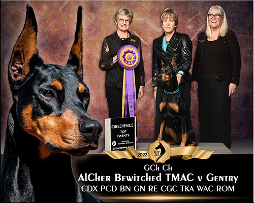 AlCher Bewitched TMAC v Gentry