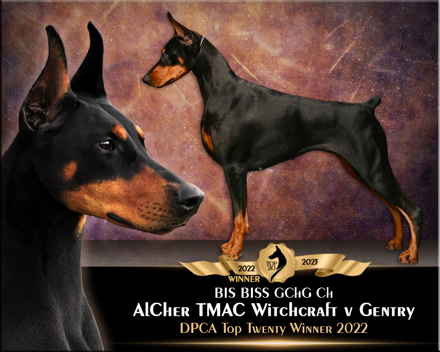 AlCher TMAC Witchcraft v Gentry