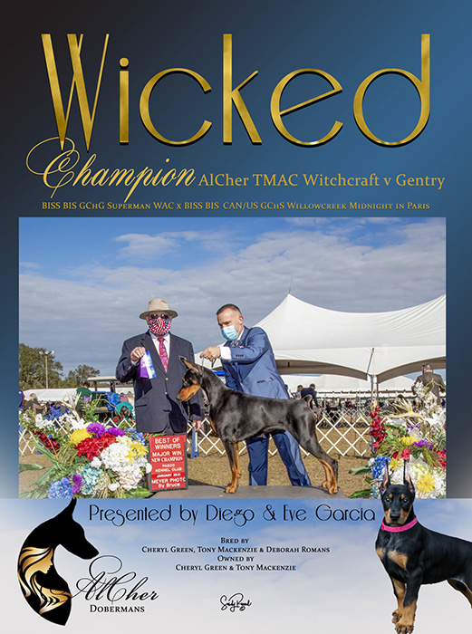 AlCher TMAC Witchcraft v Gentry