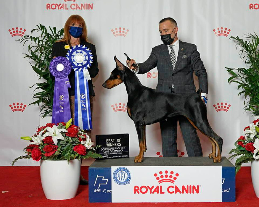 AlCher TMAC Witchcraft v Gentry