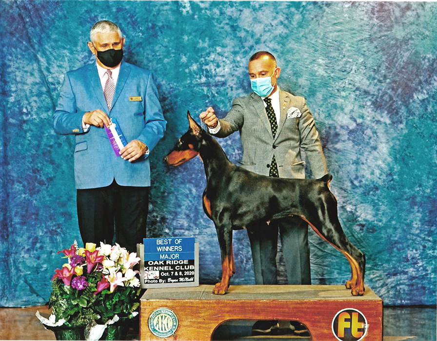 AlCher TMAC Witchcraft v Gentry