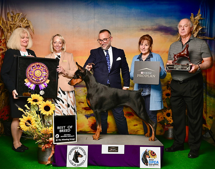 AlCher TMAC Witchcraft v Gentry