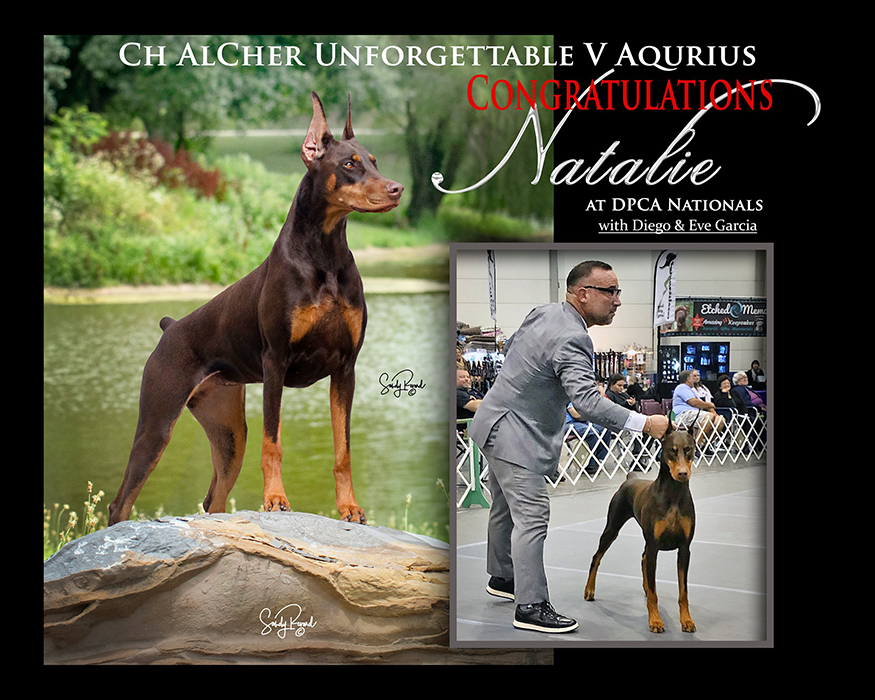 AlCher Unforgetable v Aquarius
