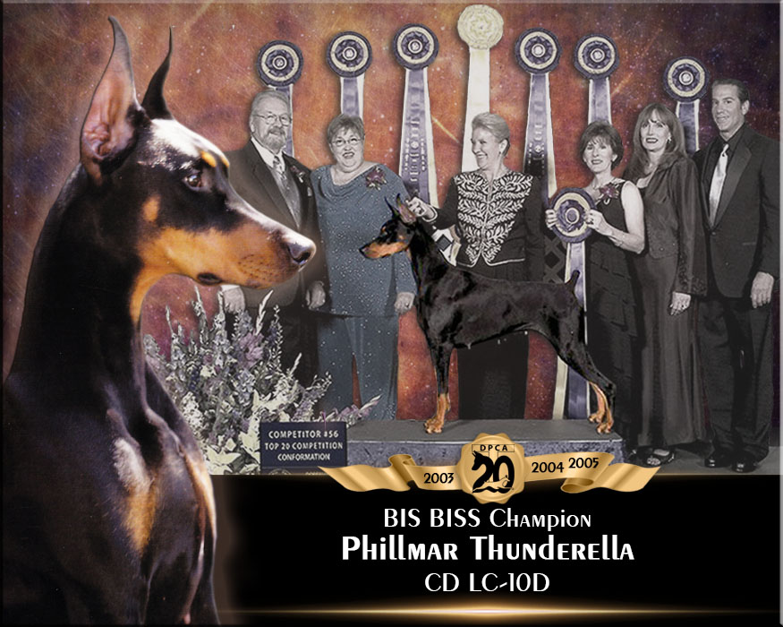 Phillmar Thunderella