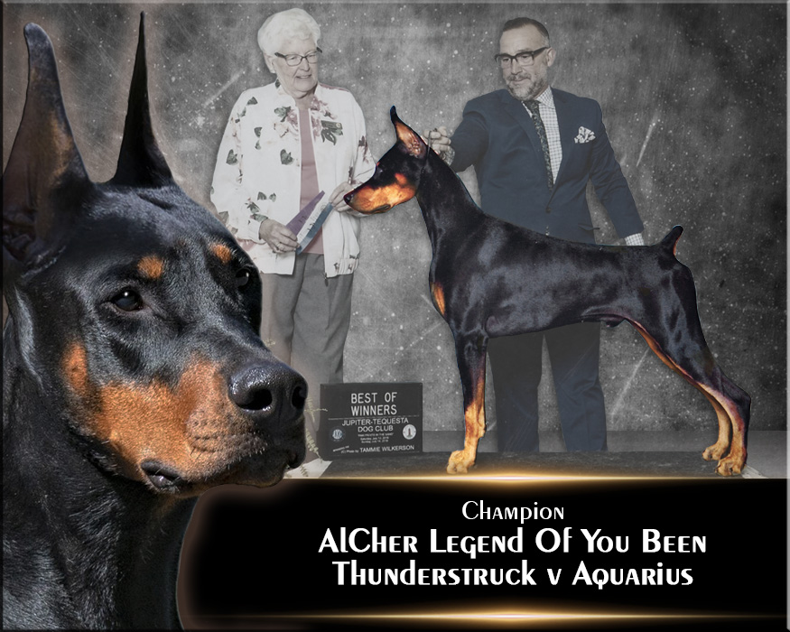 AlCher Legend Of You Been Thunderstruck v Aquarius