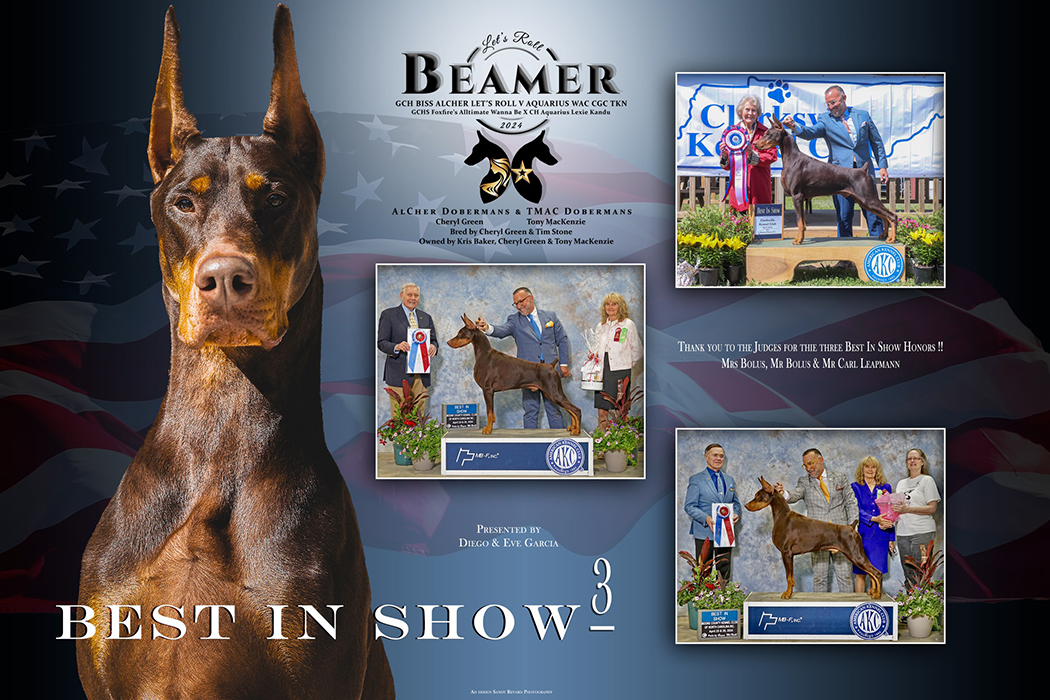 AlCher Let's Roll v Aquarius