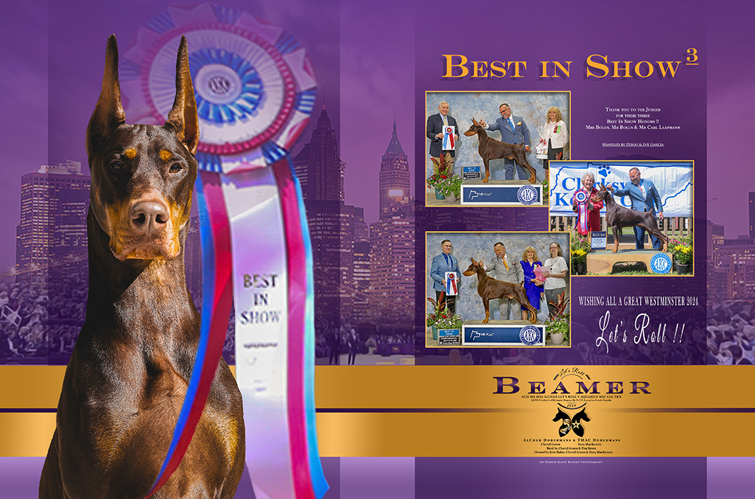 AlCher Let's Roll v Aquarius