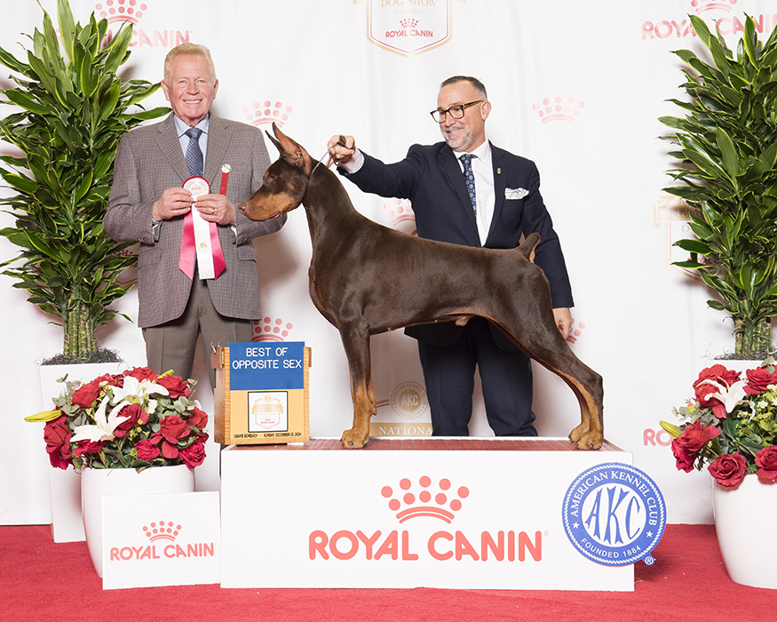 AlCher Let's Roll v Aquarius