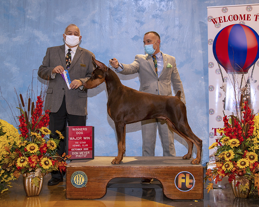 AlCher Let's Roll v Aquarius