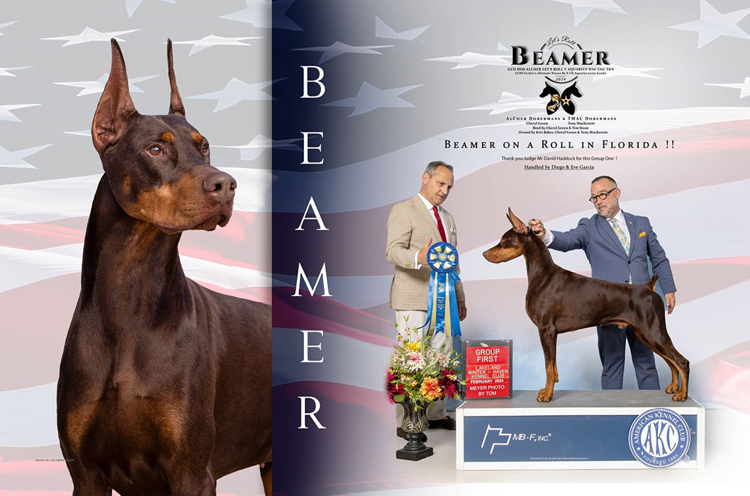 AlCher Let's Roll v Aquarius