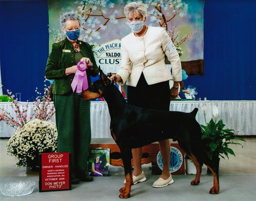 AlCher TMAC Talisman v Gentry