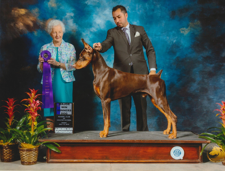 Aquarius Legend Of The West v AlCher