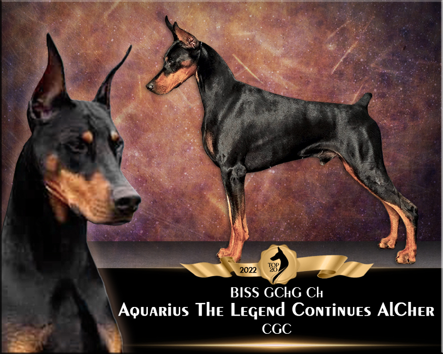 Aquarius The Legend Continues AlCher