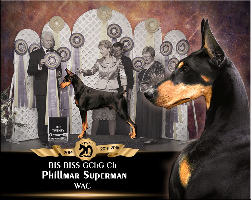 Phillmar Superman