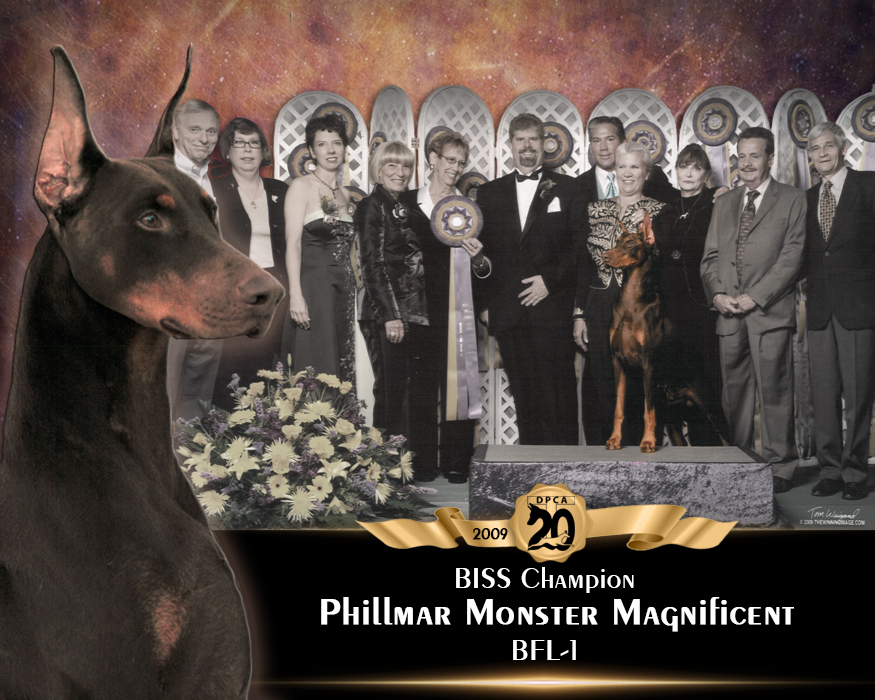 Phillmar Monster Magnificent